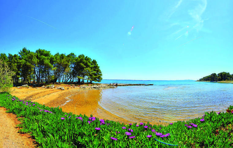 Vir Island | Villas in Croatia | NOVASOL